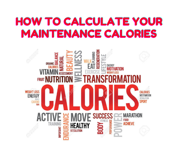 Let’s calculate your Maintenance Calories – Fitness Aficionado